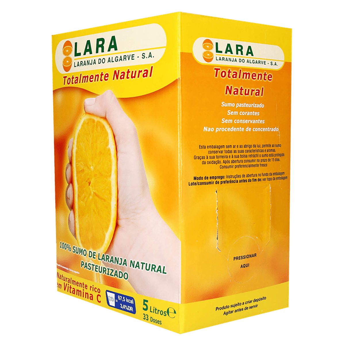 Sumo Laranja Natural Pasteurizado 5 l - 16056 - Aviludo - Distribuição ...